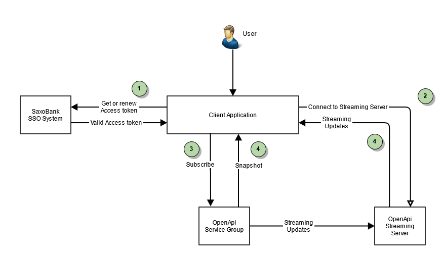 Saxo Bank Developer Portal
