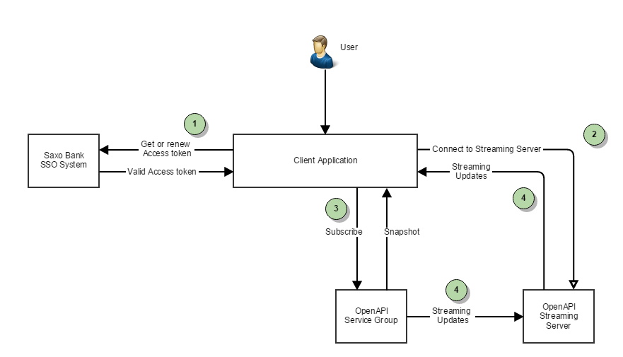 Saxo Bank Developer Portal